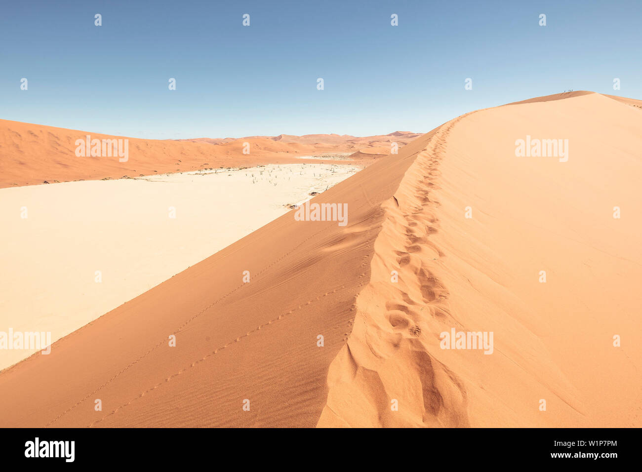 Ascent to the Big Daddy Dune, at 380 meters one of the worlds tallest ...