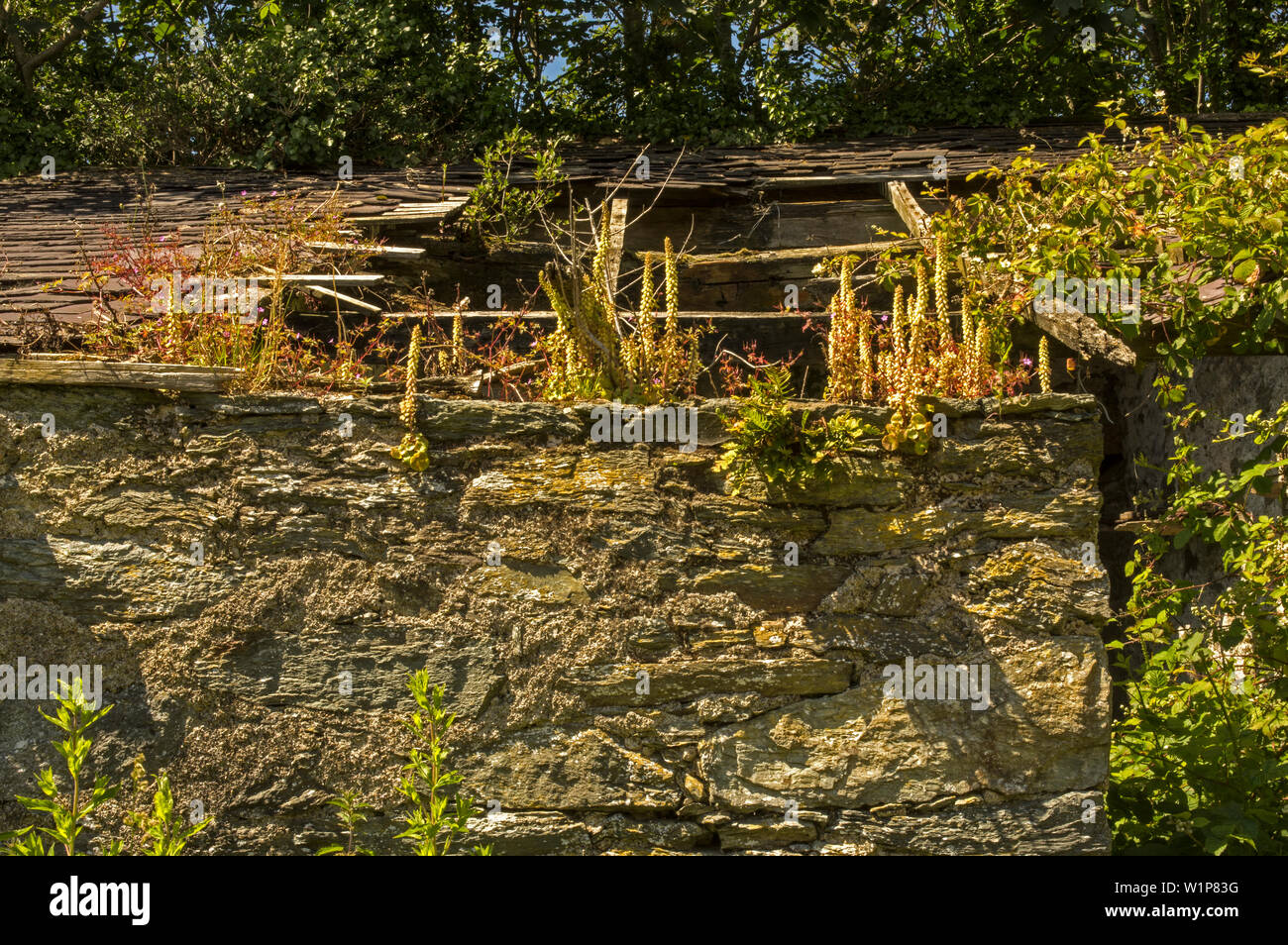 Left to deteriorate hi-res stock photography and images - Alamy