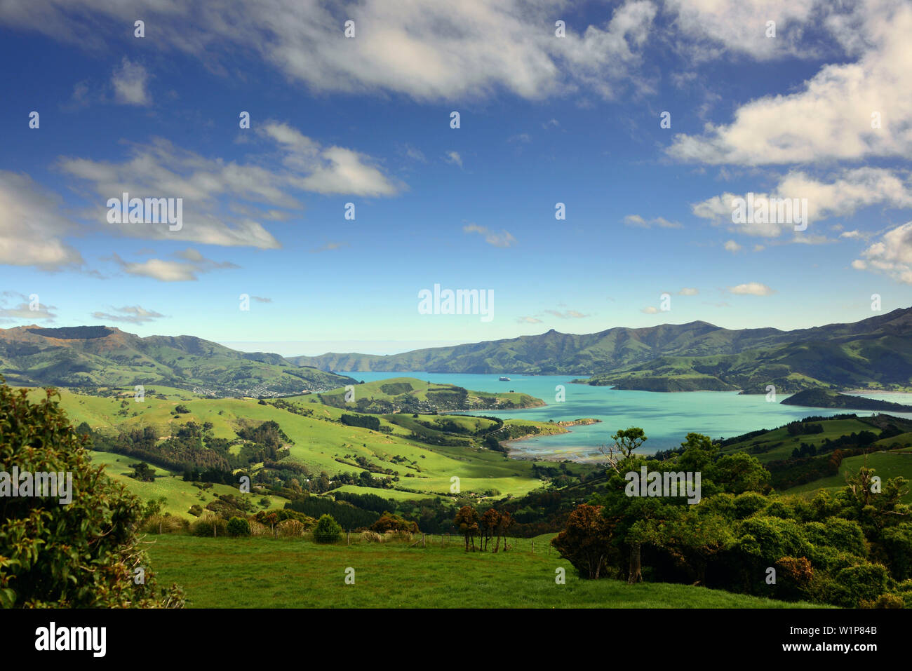 View in Akaroa Harbour, Peninsula of Akaroa, Eastcoast, South Island ...