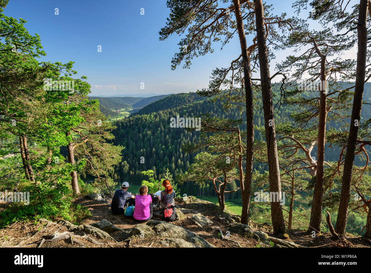 Dachsberg black forest hi-res stock photography and images - Alamy
