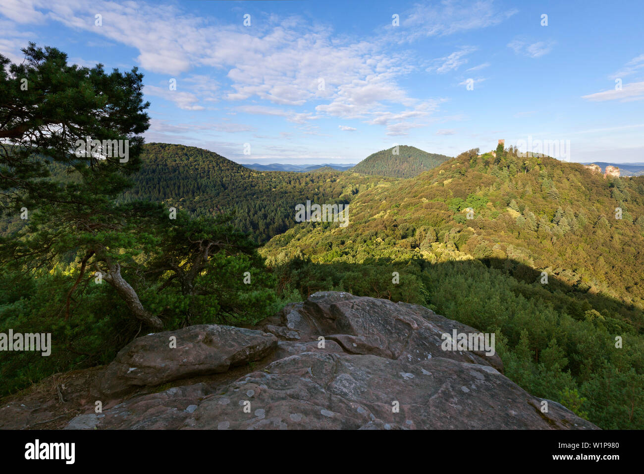 Scharfenberg coupler or schaku hi-res stock photography and images - Alamy