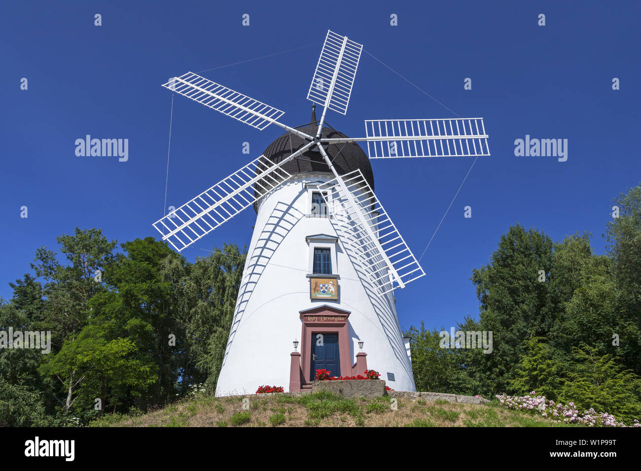 Lady devorgilla hi-res stock photography and images - Alamy