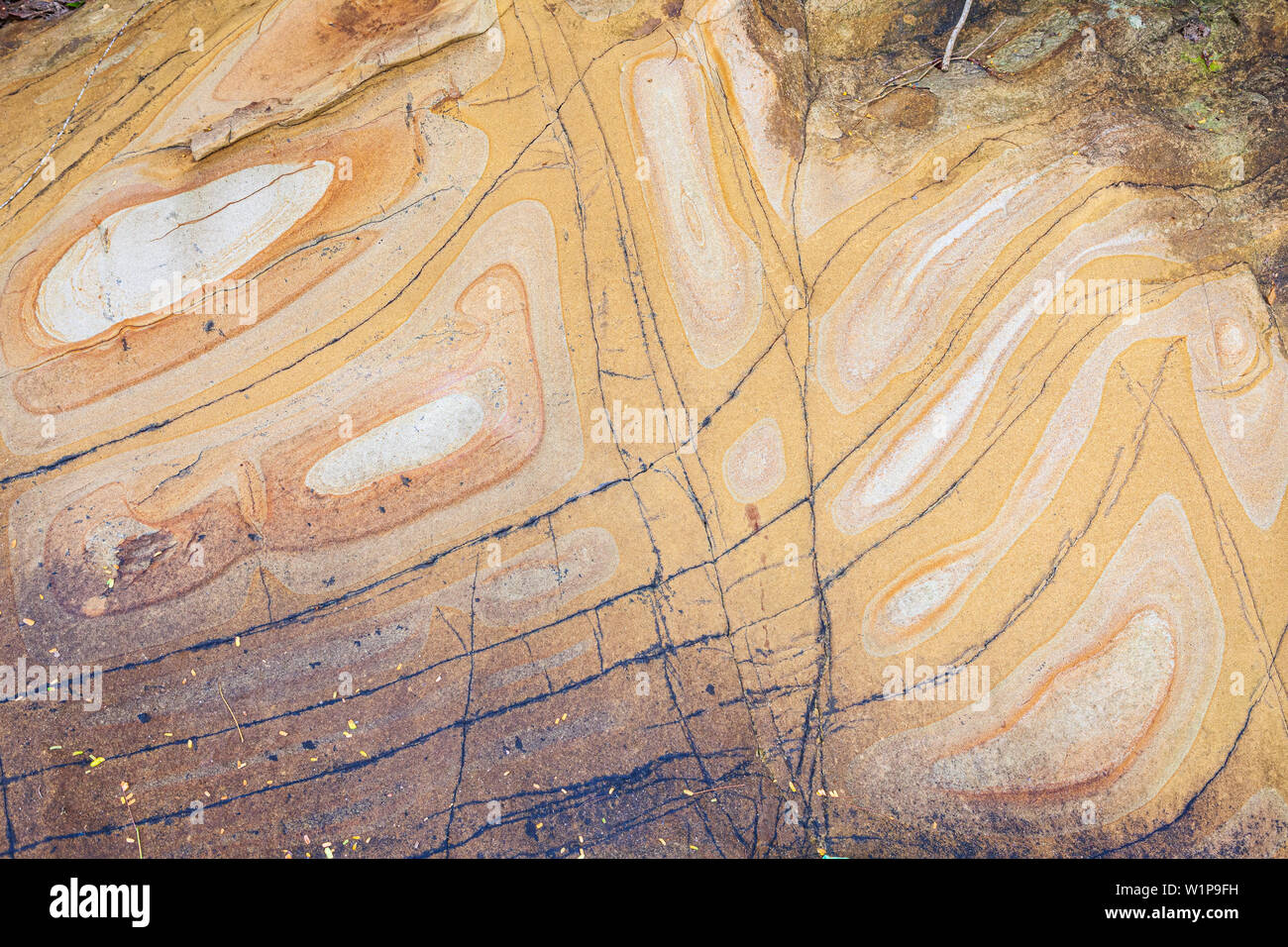 Natural sandstone patterns smooth shapes Stock Photo - Alamy