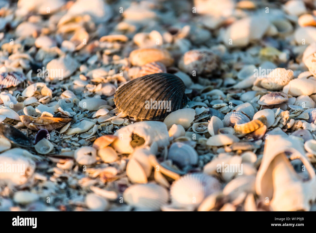 After effects light hi-res stock photography and images - Alamy