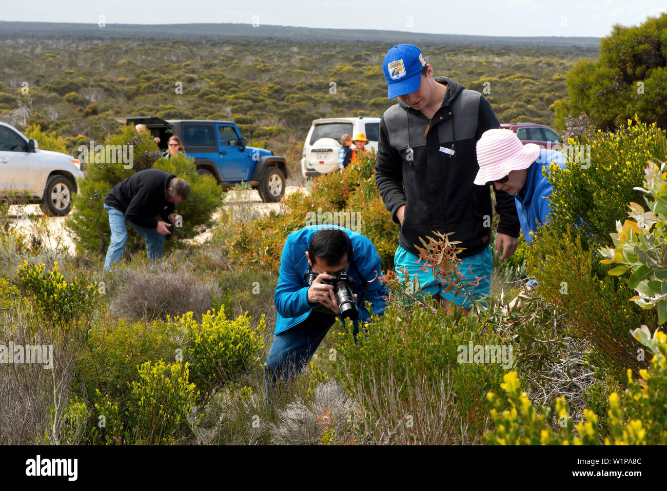 Wildflower tour in the Fitzgerald River Biosphere in Western Australia ...