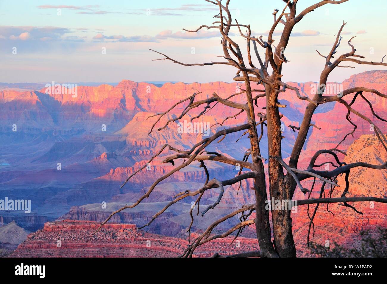Grand Canyon sunset. Landscape in Arizona, United States Stock Photo ...