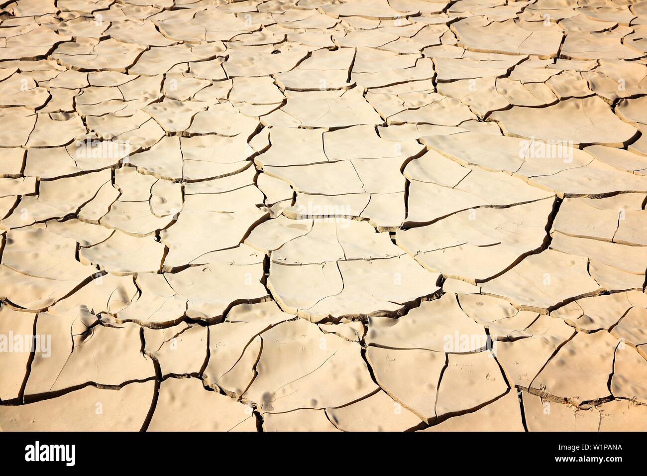Dried mud surface - desert background. Death Valley, California Stock Photo - Alamy