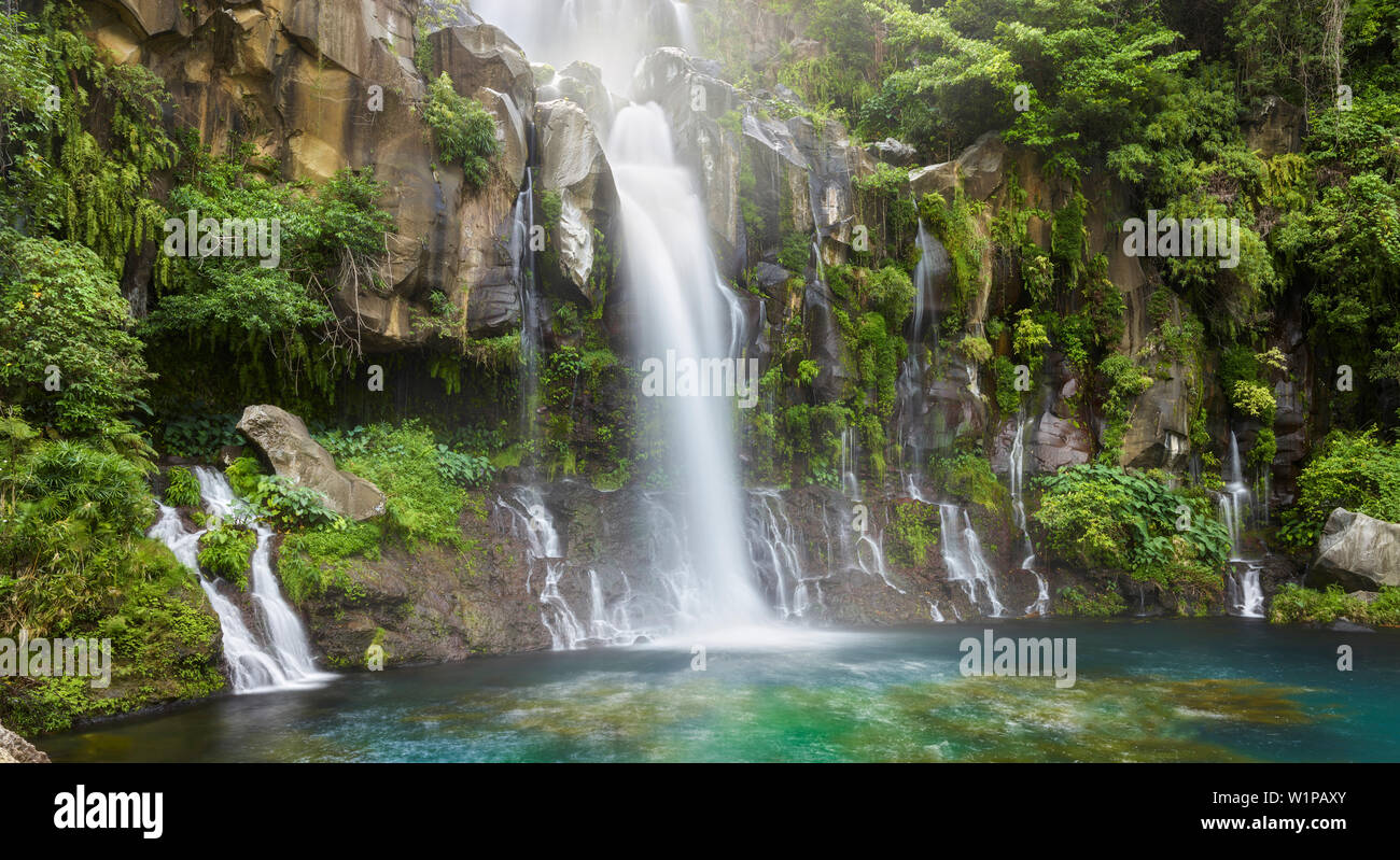 Aigrettes hi-res stock photography and images - Alamy