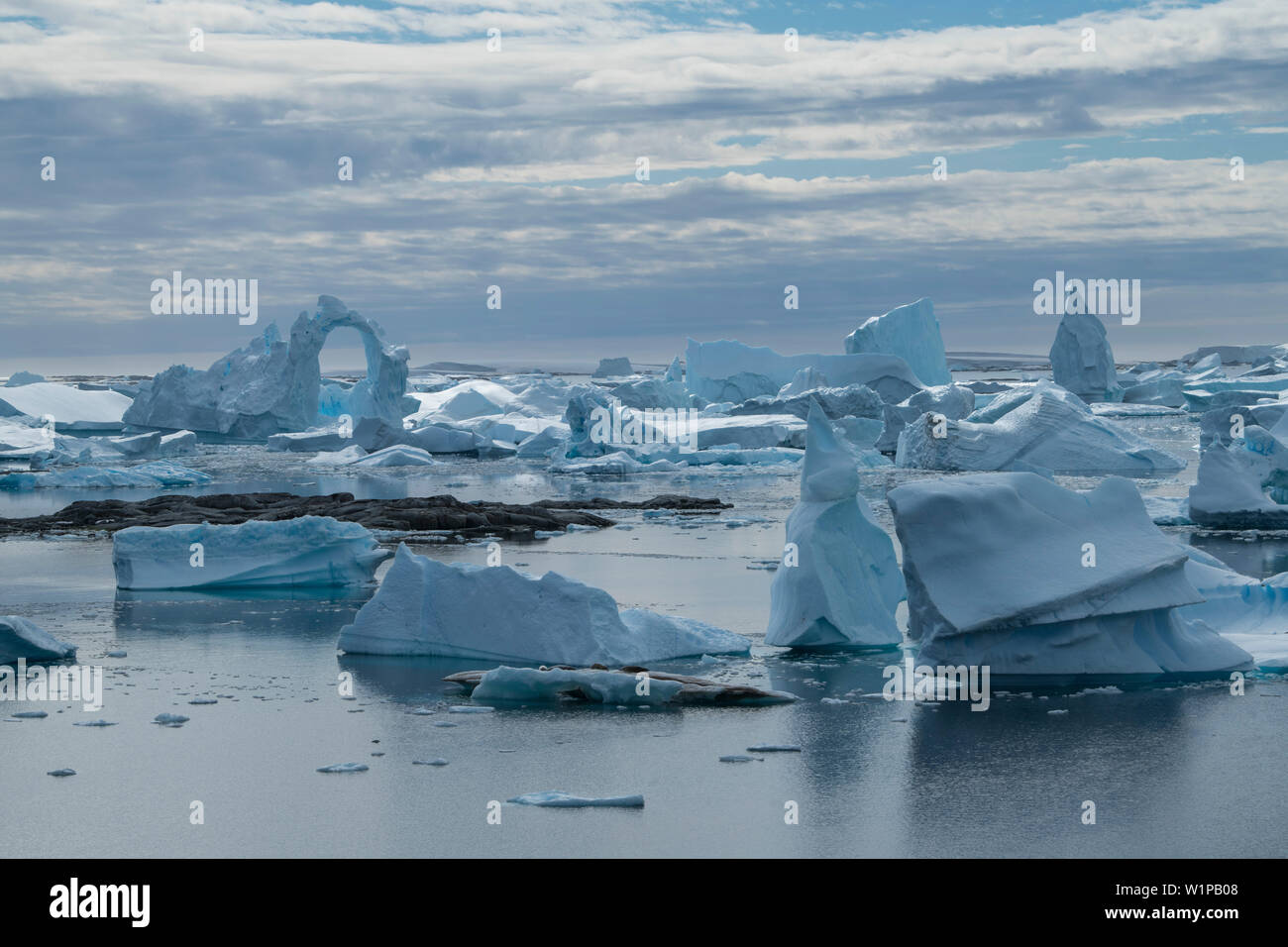 In a scene of oddly formed icebergs, one features a delicate looking ...