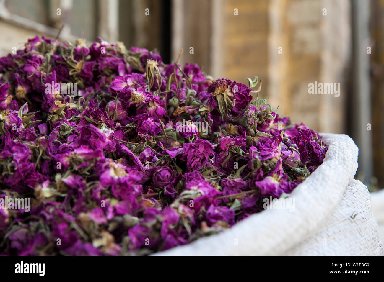 Rose blooms in the bazaar of Shiraz, Iran, Asia Stock Photo - Alamy