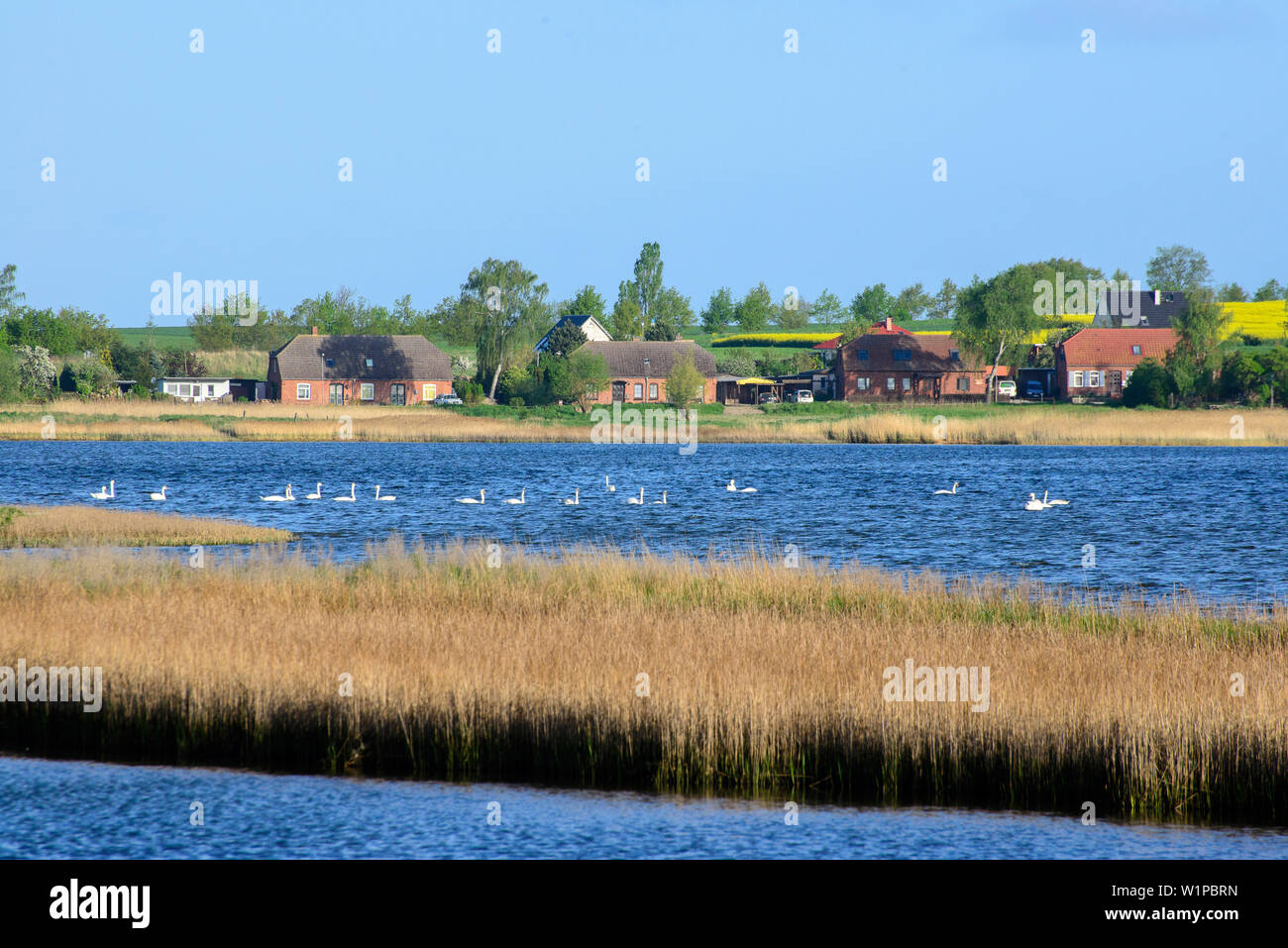 Insel poel hi-res stock photography and images - Alamy