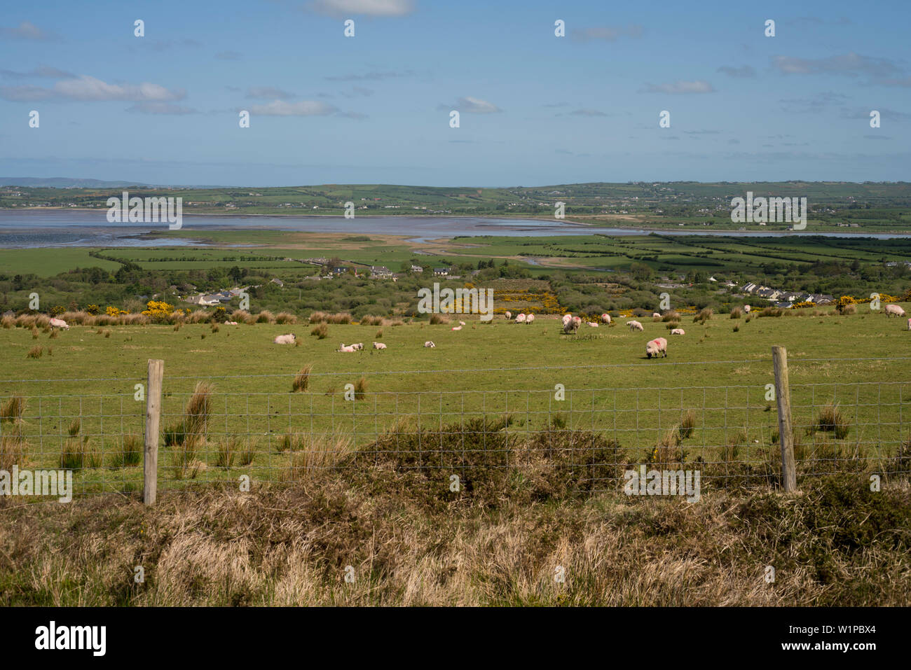 Tralee bay ireland hi-res stock photography and images - Alamy