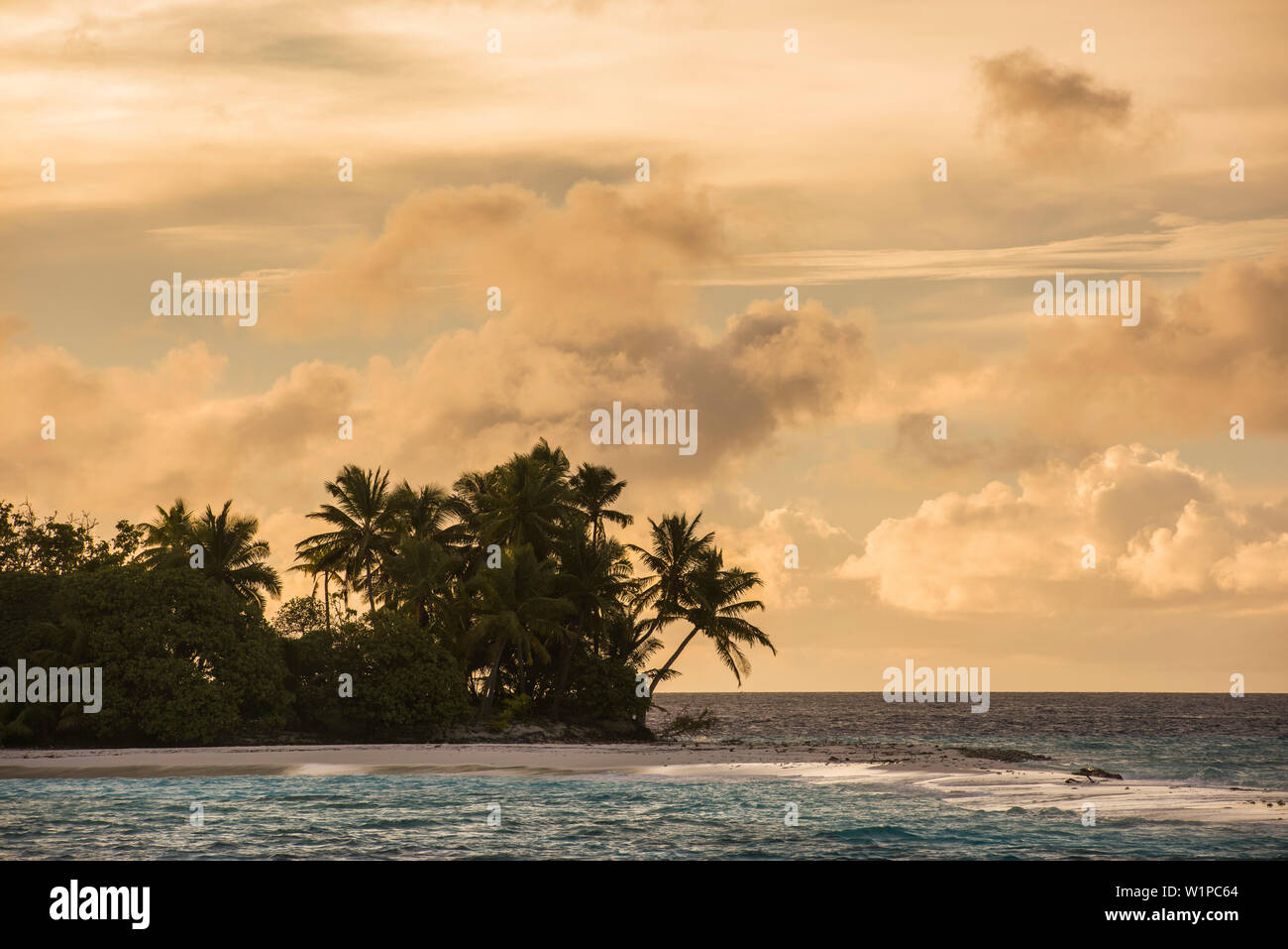 Late afternoon sun, light clouds and a low-lying, palm-covered island ...