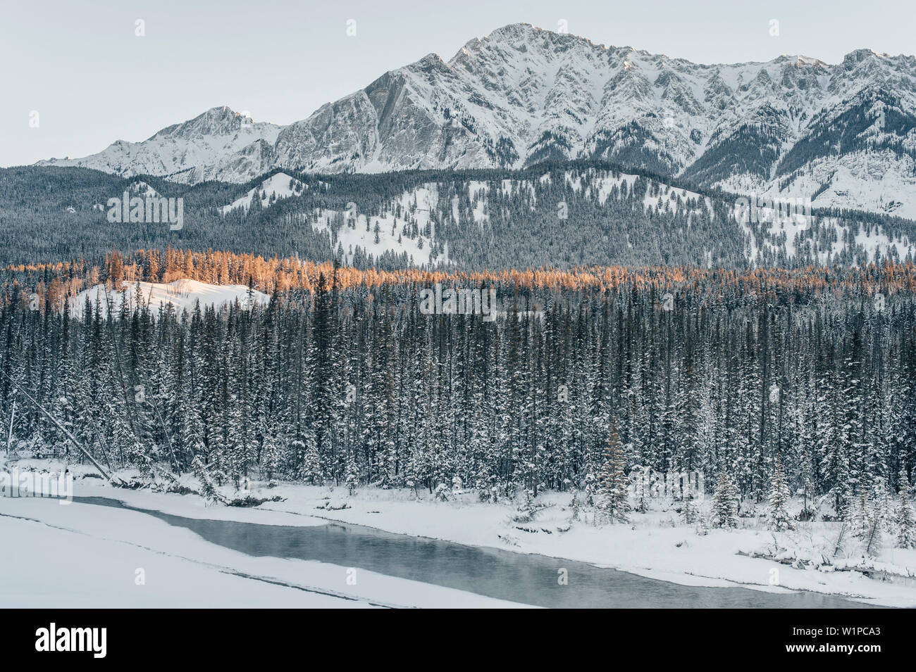 Riverside at Bow River, castle junction, Banff Town, Bow Valley, Banff ...