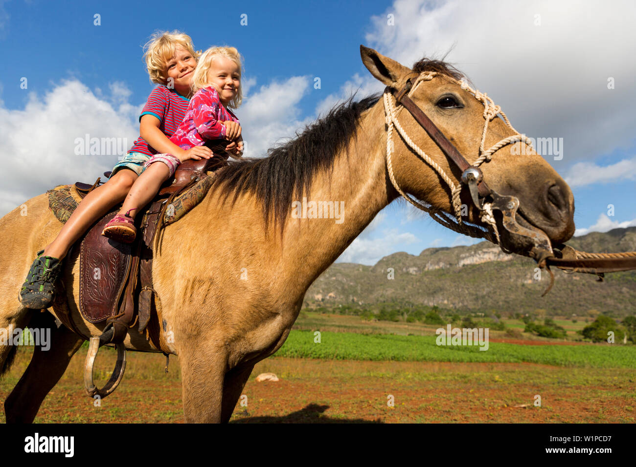Girl climbing horse hi-res stock photography and images - Alamy