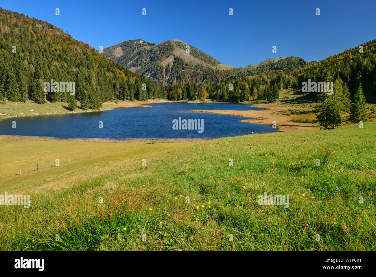 Lake Seewaldsee with Hochwieskopf and Hochbuehel, lake Seewaldsee ...