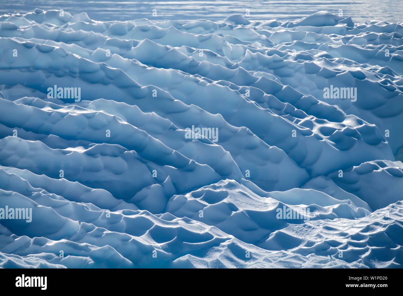 Backlighting highlights ridges and puckered structures of an icefloe ...