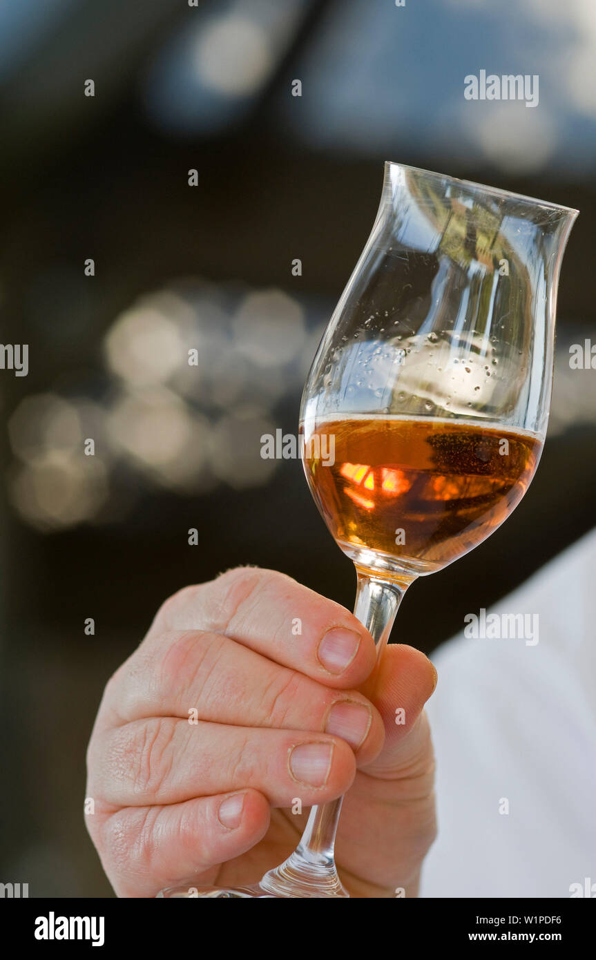 The Louise, luxury accommodation and restaurant is famous for its wine ...