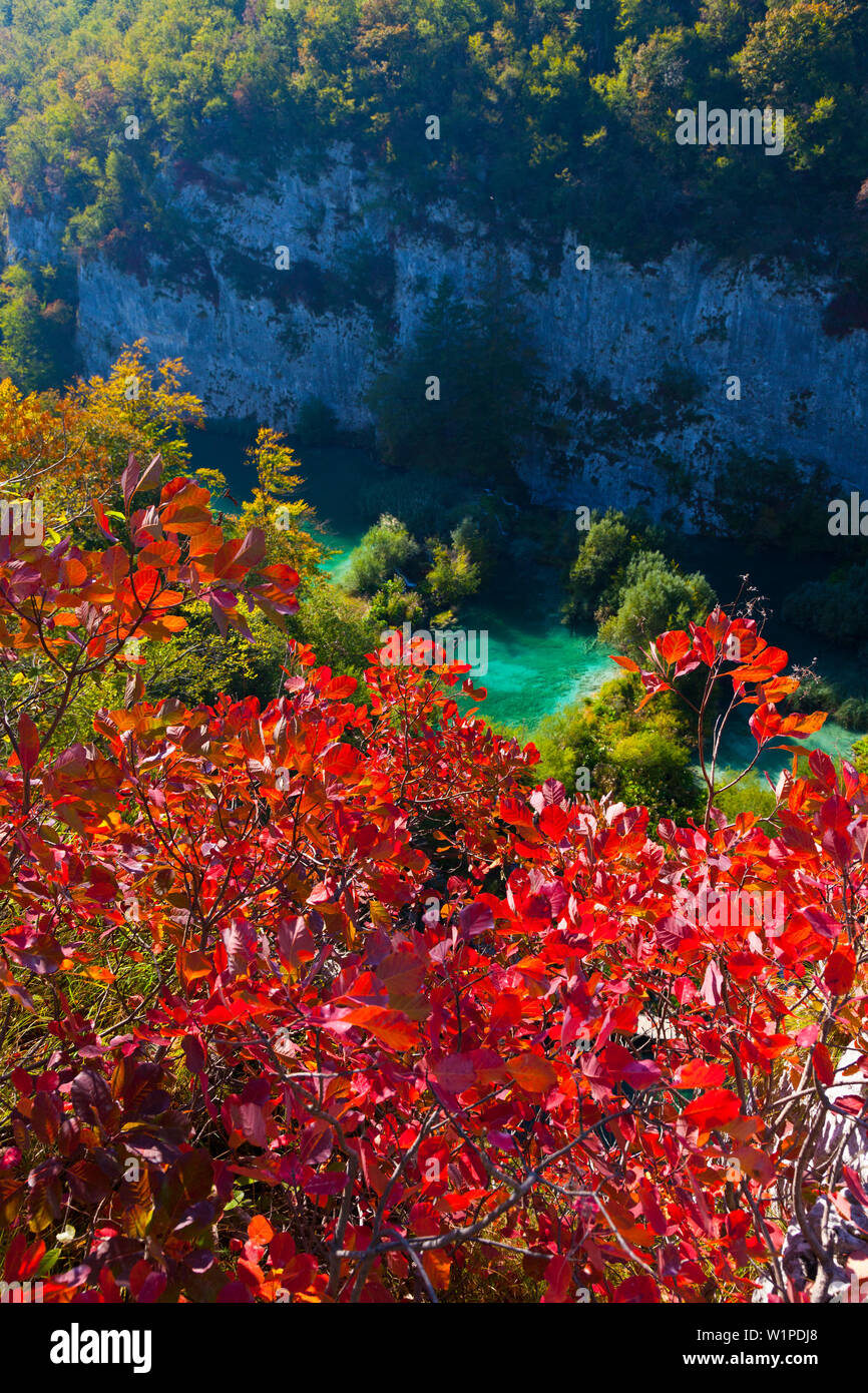 Plitvice lakes National Park, Lika region, Croacia, Europe Stock Photo ...