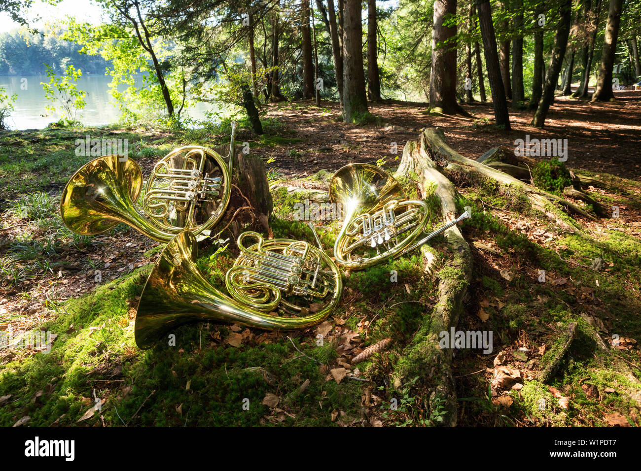 Brass instruments hi-res stock photography and images - Alamy