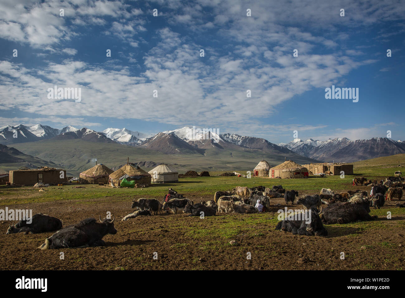 Khash Goz village with yurts and yaks, Afghanistan, Pamir, Asia Stock ...
