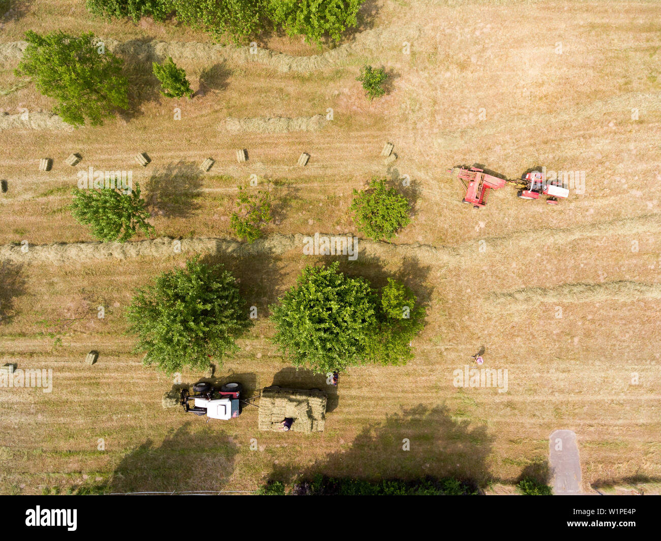 Aerial view of the harvest with the old tractor and nostalgic cuboid ...