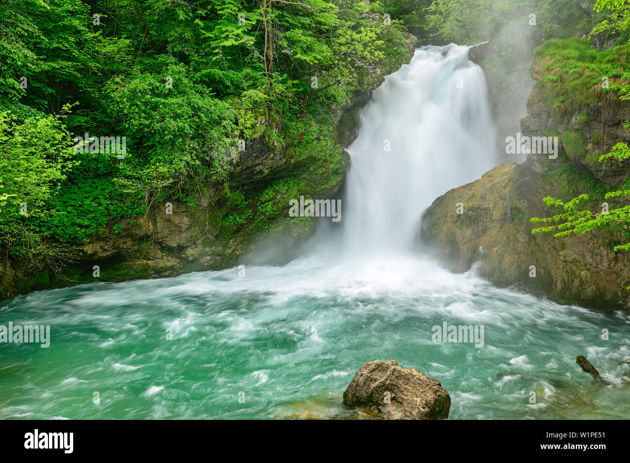 Sum waterfall at river Radovna, Vintgar canyon, valley of Radovna ...