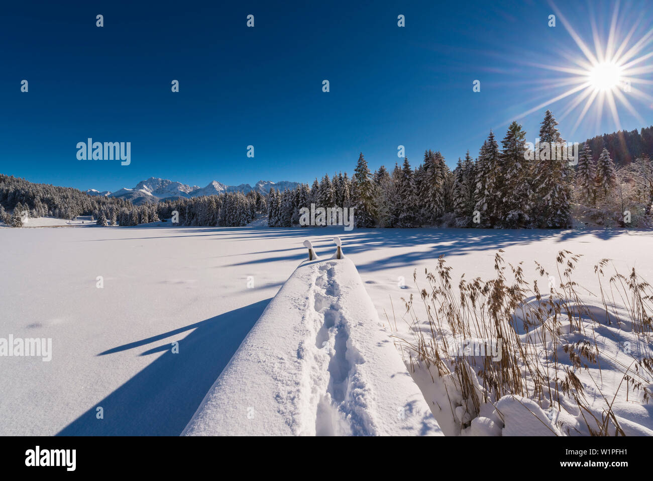 fresh snow on frozen lake Wagenbrüchsee, Bavaria, Germany Stock Photo ...
