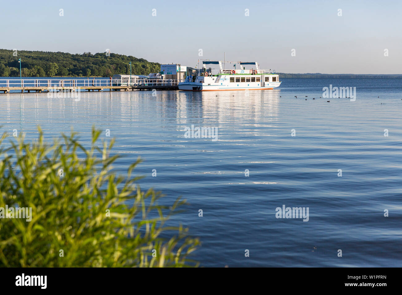Tollense lake hi-res stock photography and images - Alamy