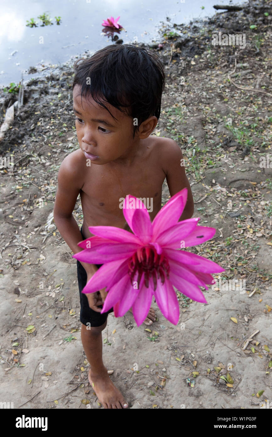 Pinky colours hi-res stock photography and images - Alamy