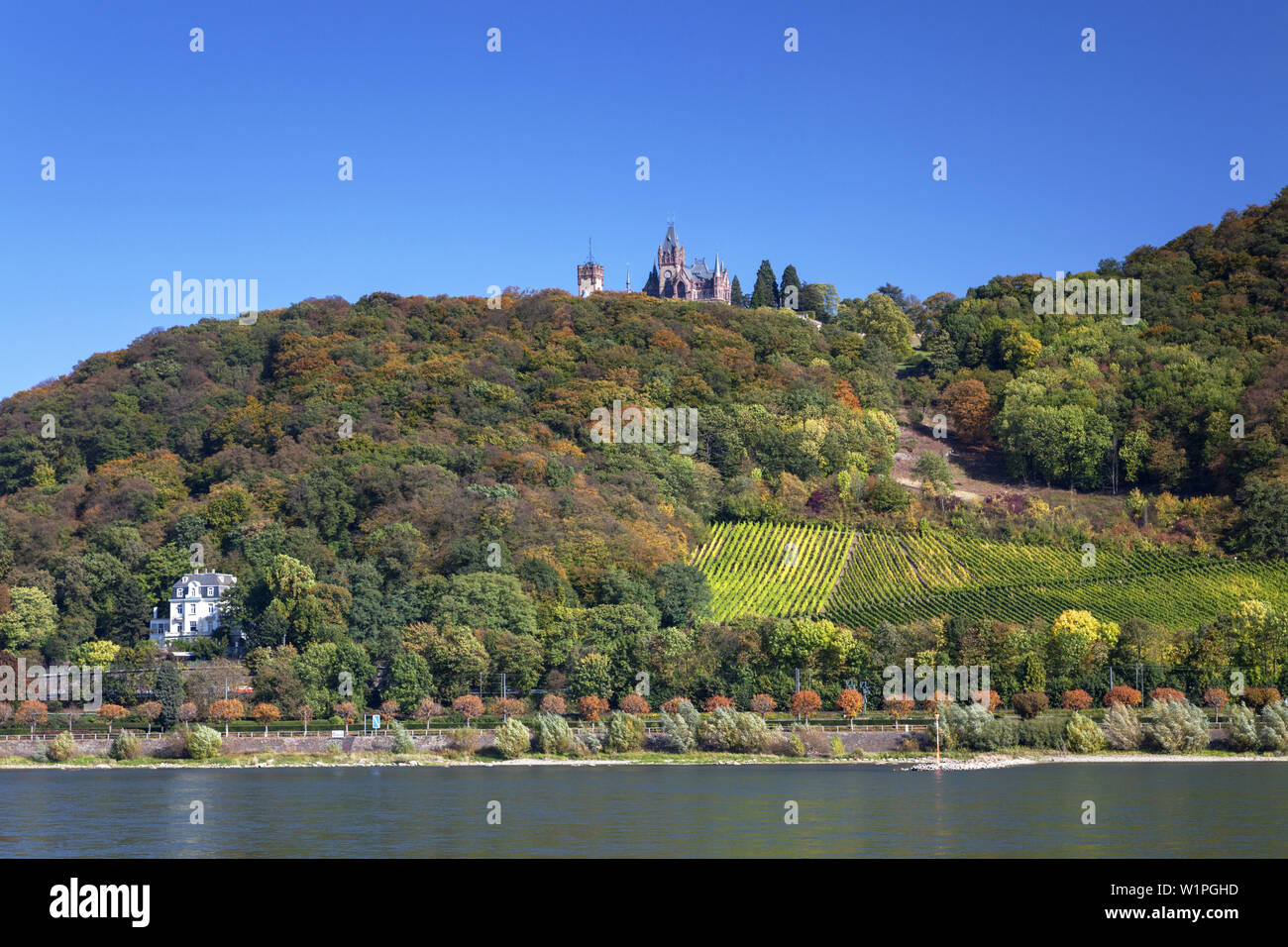 Mehlem hi-res stock photography and images - Alamy