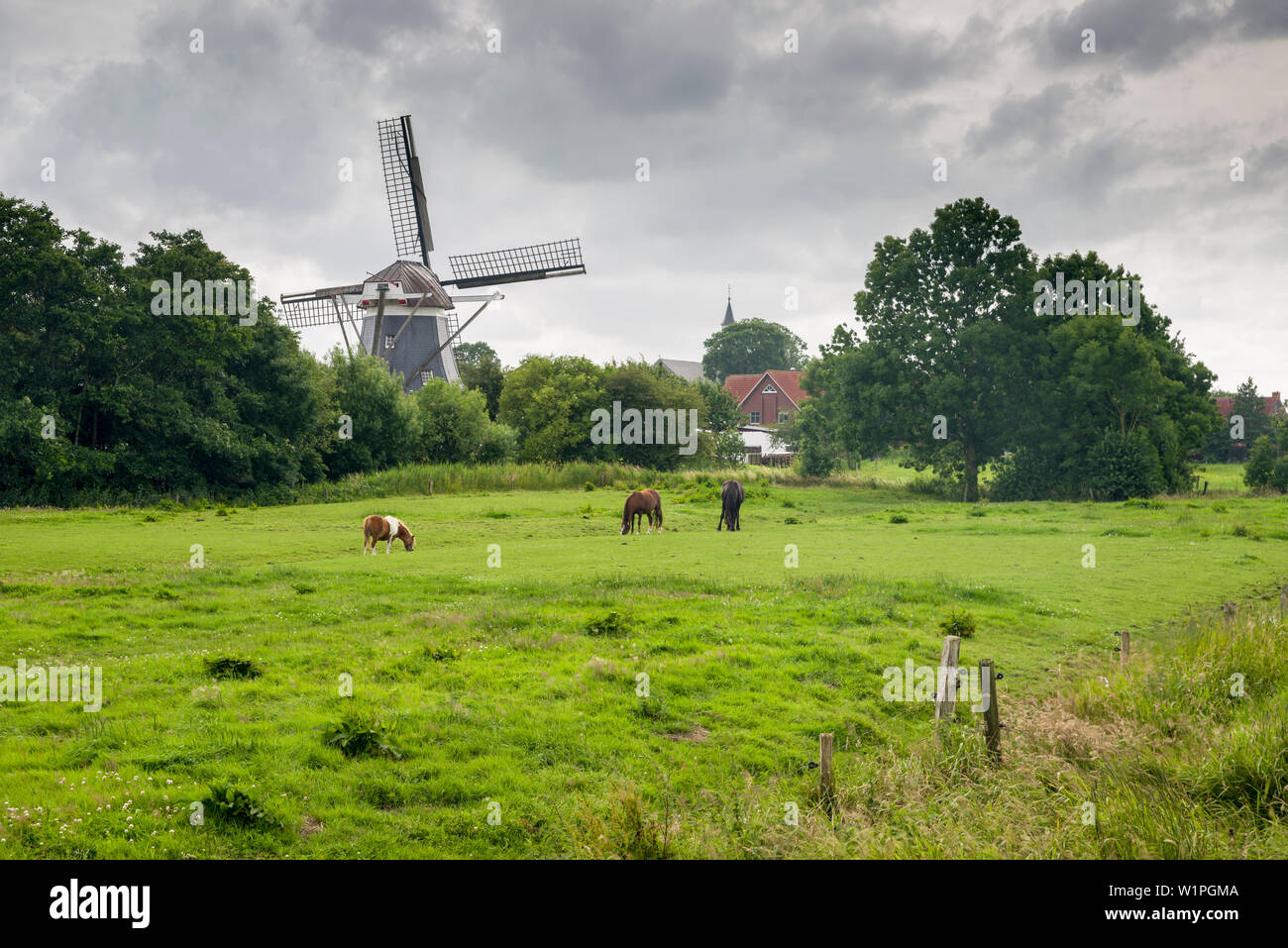 Esens hi-res stock photography and images - Alamy