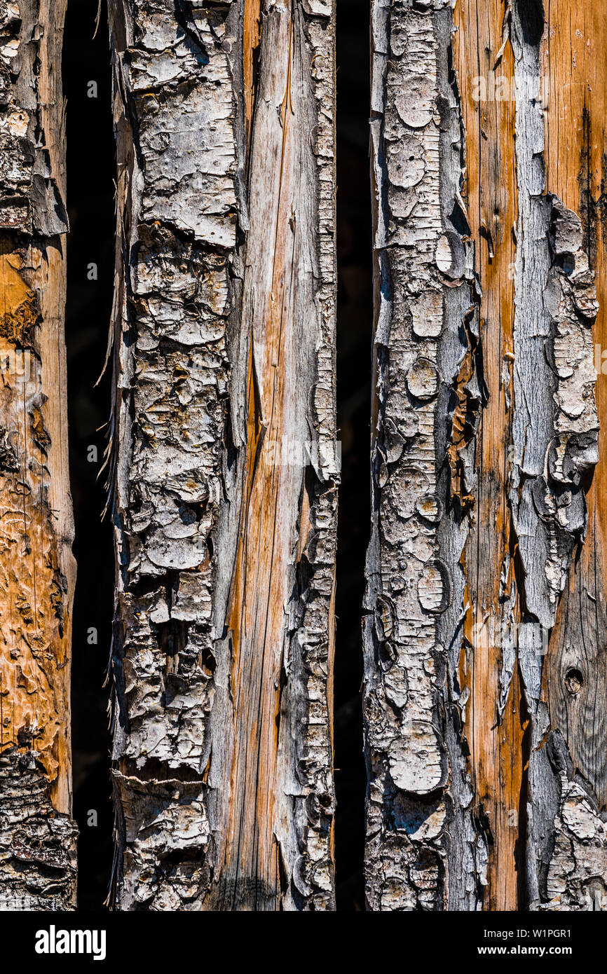 Facade, wooden hut, Radein, South Tyrol, Italy Stock Photo - Alamy