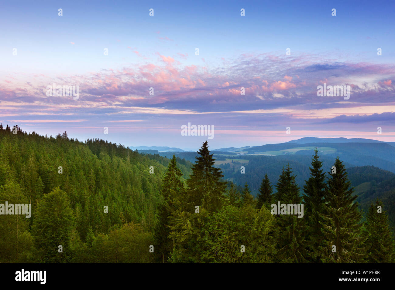 Black forest panoramic road hi-res stock photography and images - Alamy