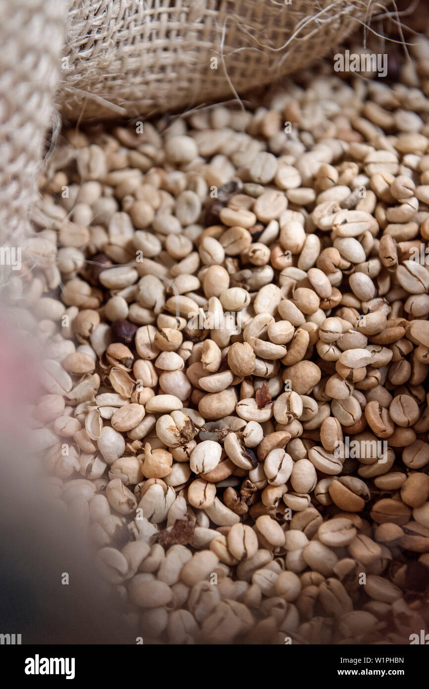 Southameric hi-res stock photography and images - Alamy