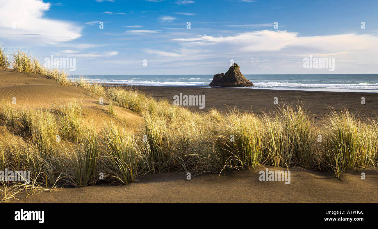 Karekare beach, Waitakere Ranges Regional Park, Auckland, North Island ...