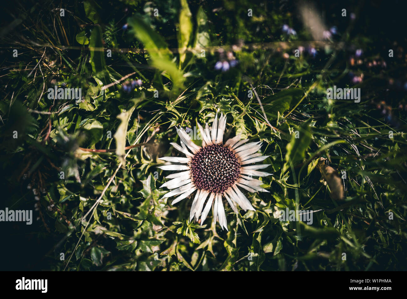 Memminger hutte hi-res stock photography and images - Alamy