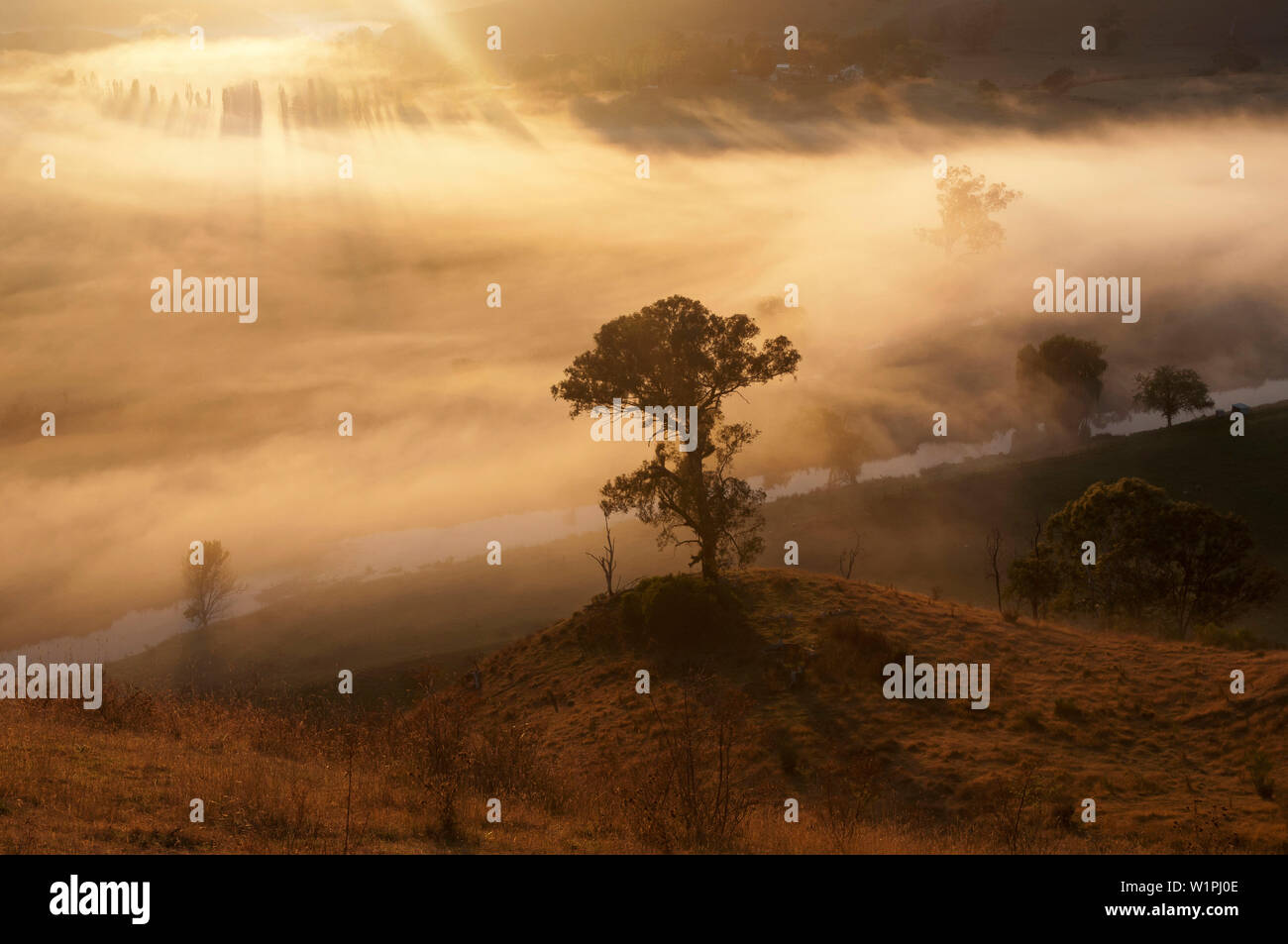 Sunrise at a farm near Buchan along the Barry Way Stock Photo - Alamy