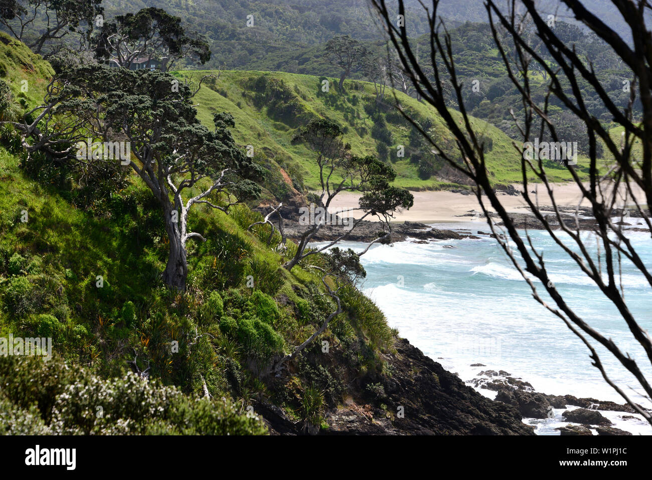 Taupiri Bay near Russe, North Island, New Zealand Stock Photo - Alamy