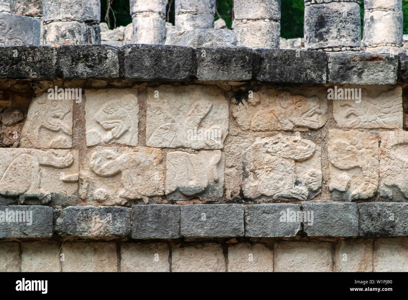 Group of the Thousand Columns Stock Photo - Alamy