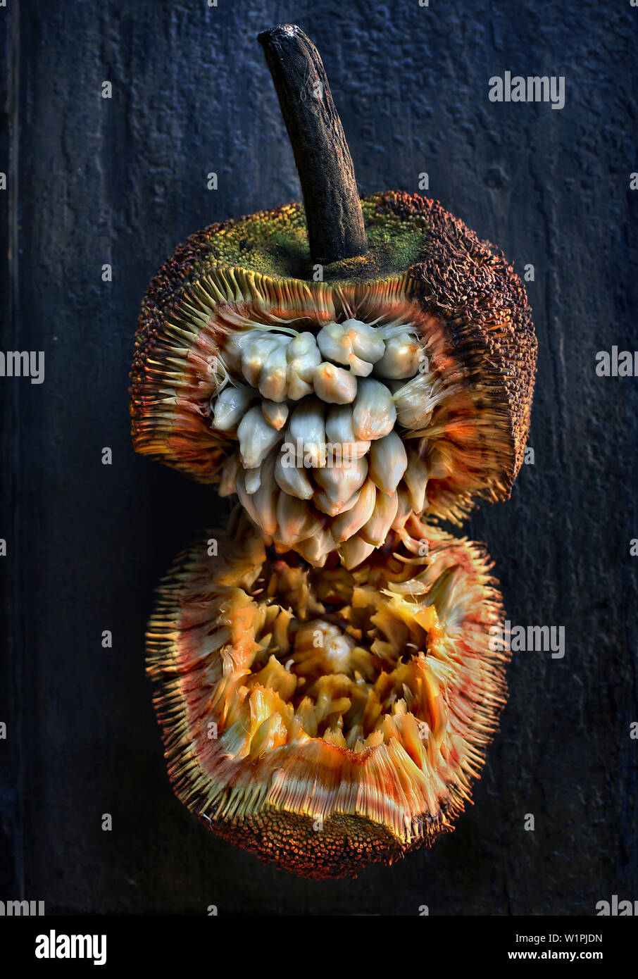 Marang fruit from Mindanao, Manila Luzon Island Stock Photo - Alamy