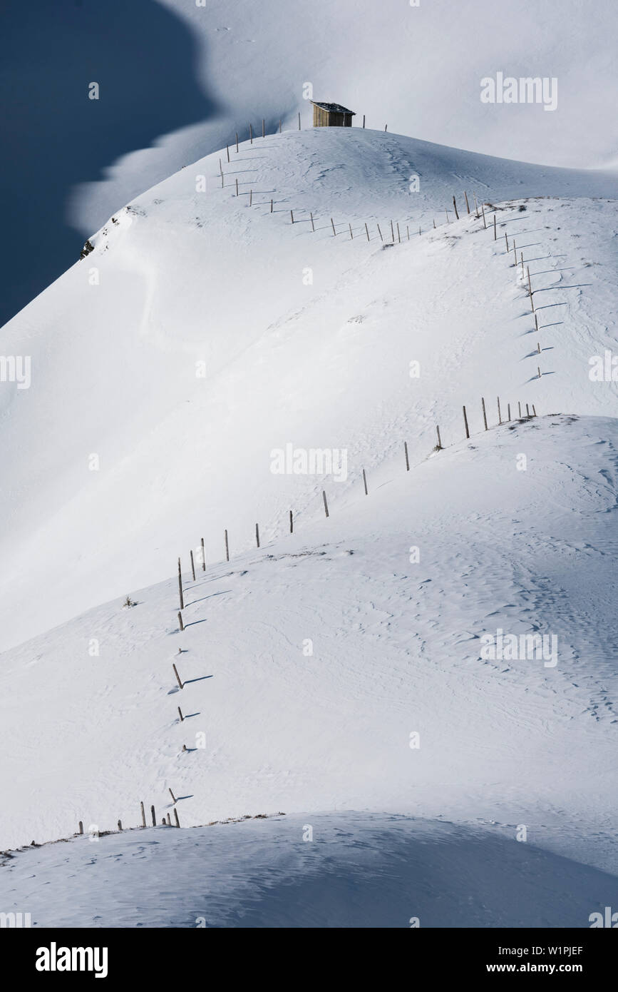 Pinzgau valley hi-res stock photography and images - Alamy