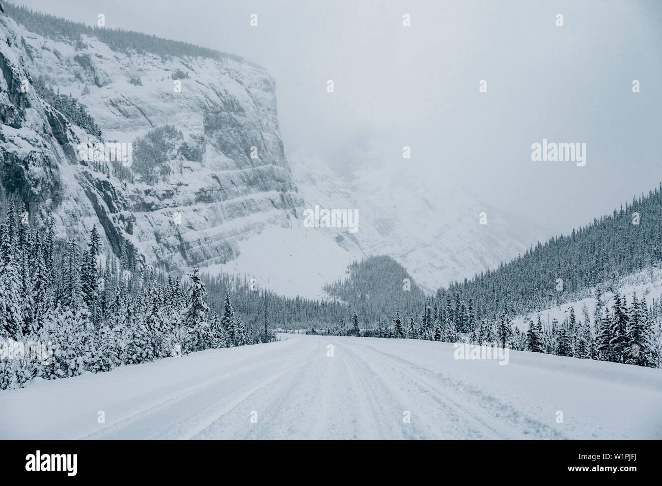 Icefields Parkway, Banff National Park, Jasper National Park, Alberta ...