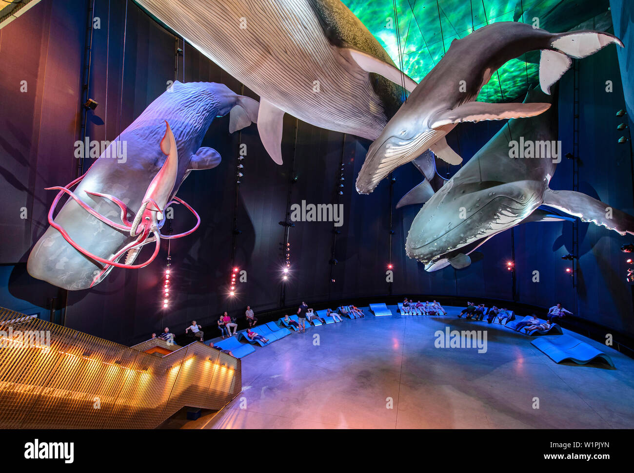20 meter high hall '1: 1 giants of the seas' with whale models in the ...