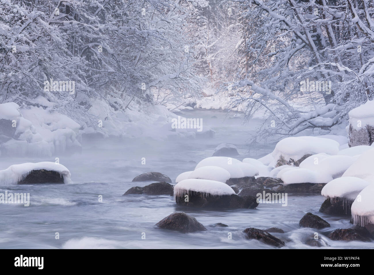 Gesaeuse national park hi-res stock photography and images - Alamy