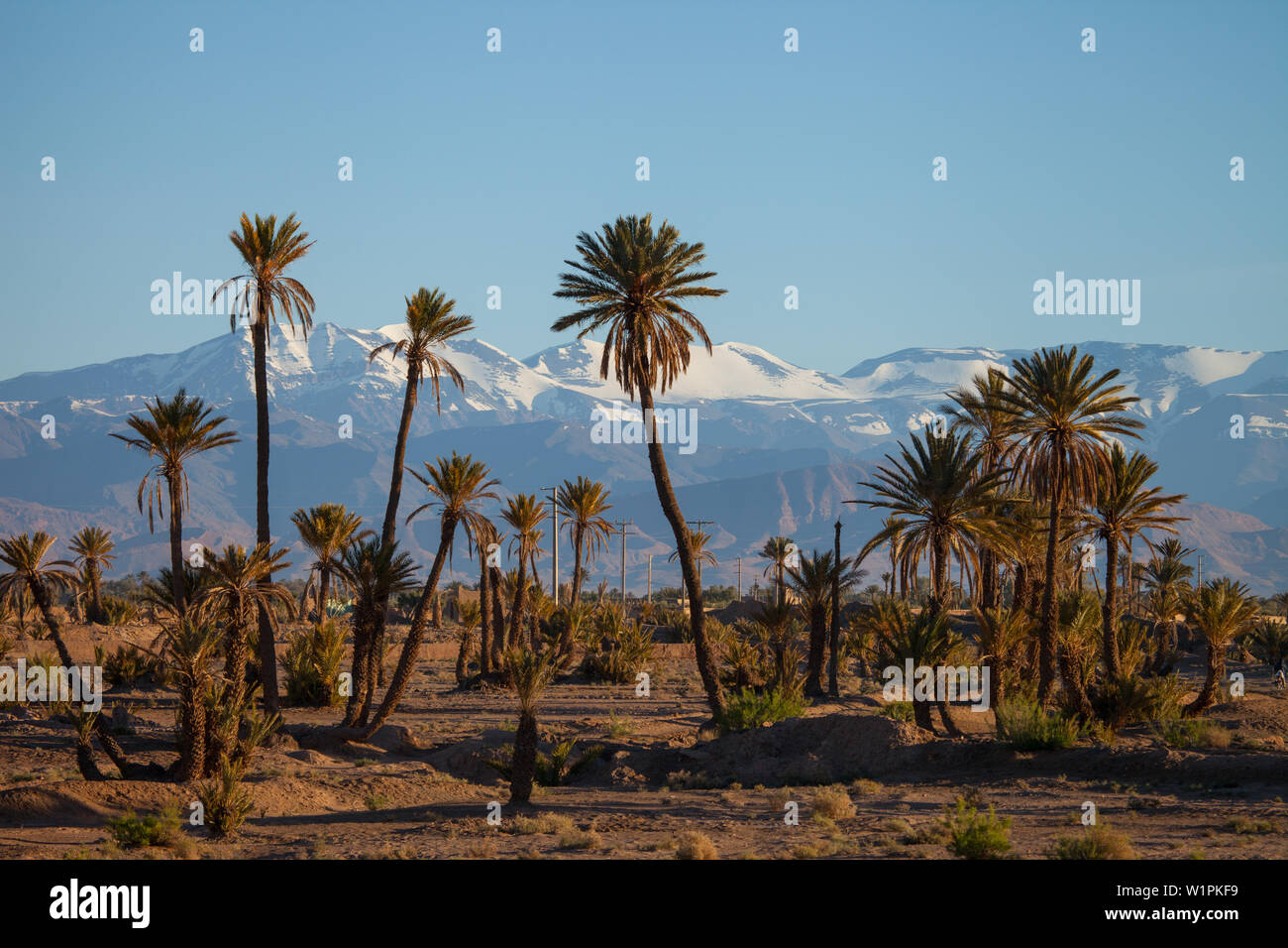 Skoura landscape skoura oasis hi-res stock photography and images - Alamy