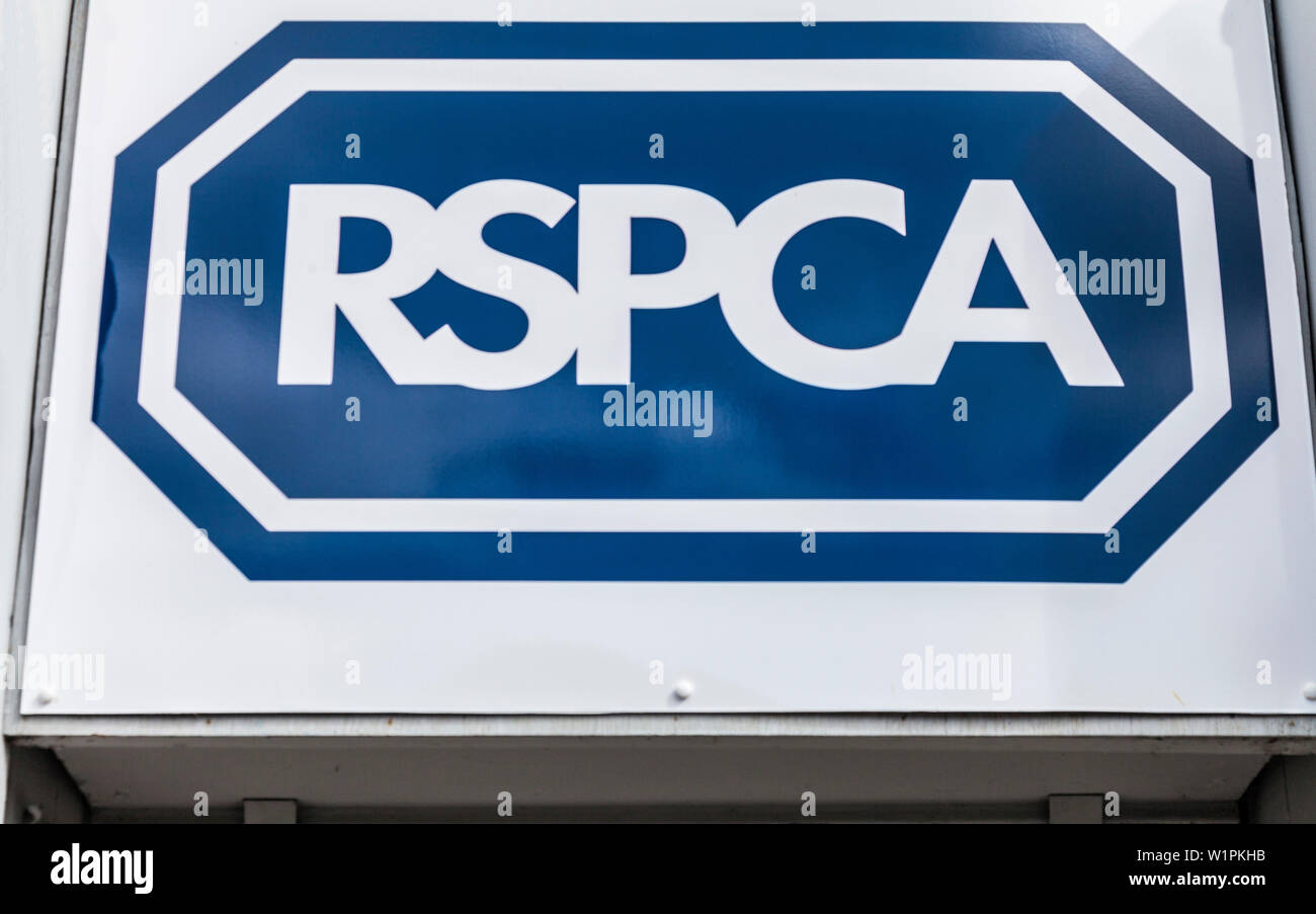 Rspca shop hi-res stock photography and images - Alamy
