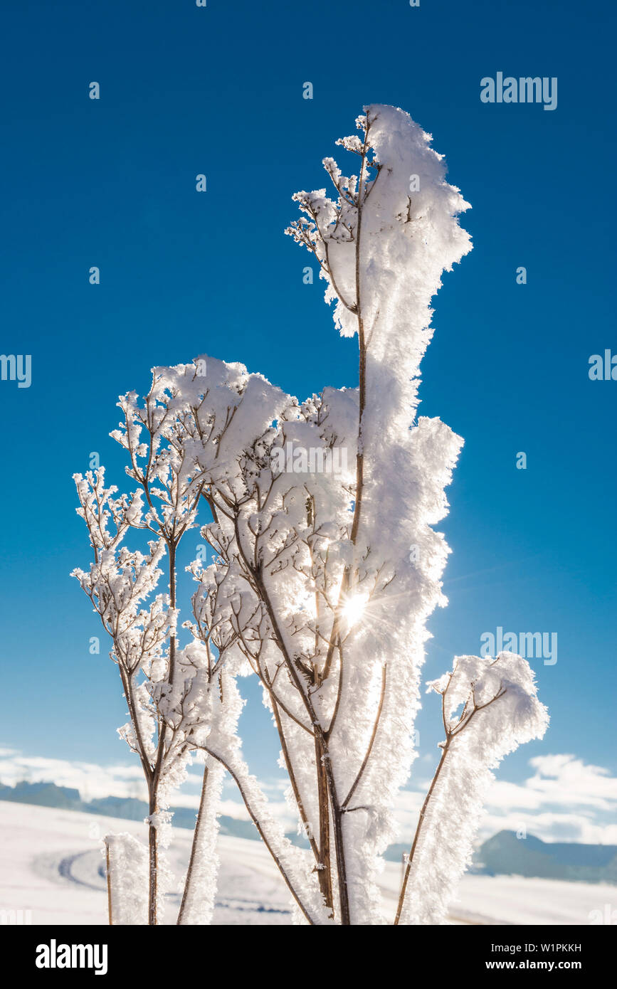 The cold night hi-res stock photography and images - Alamy