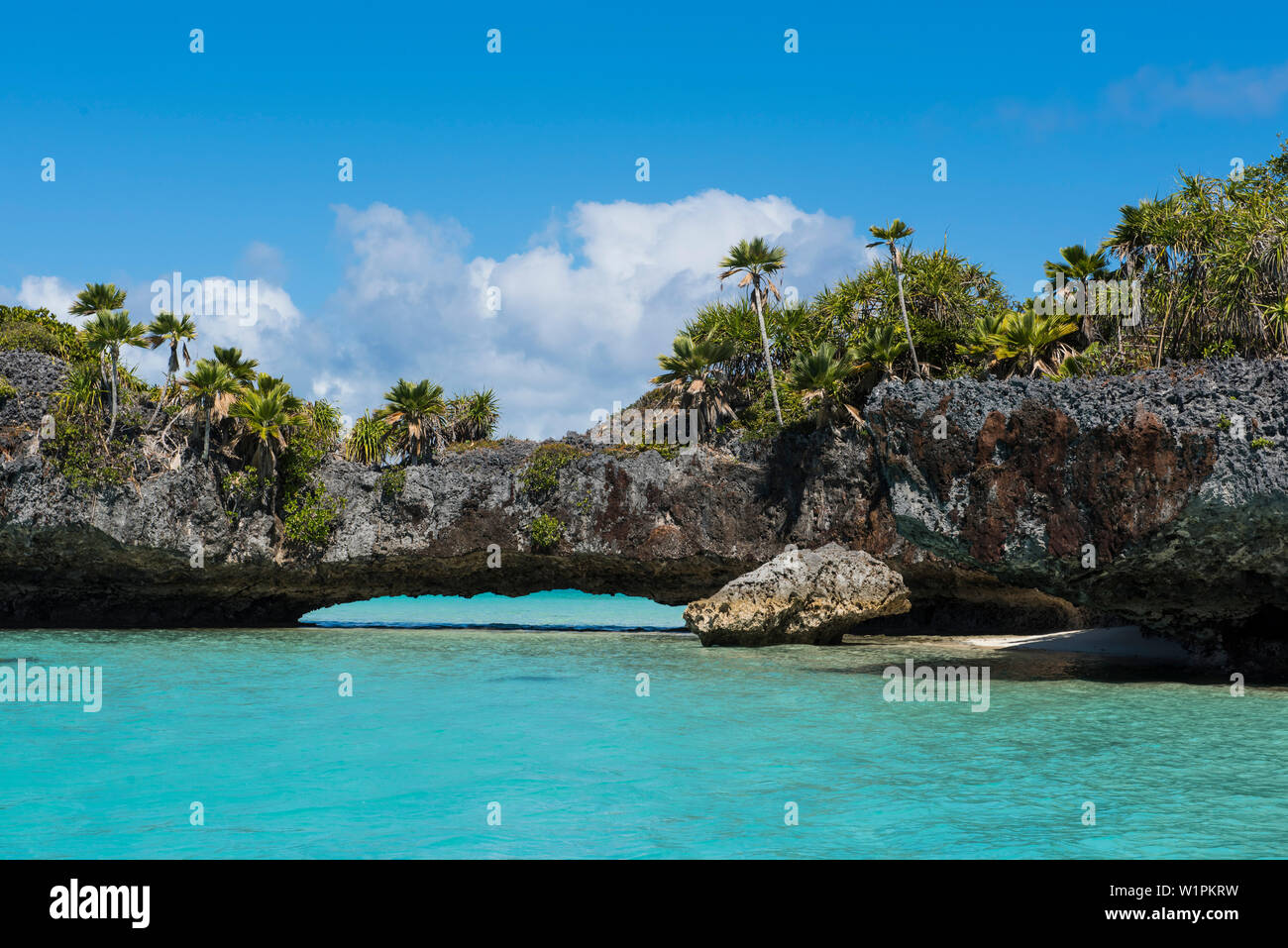 A low stone arch over turquoise water and covered by trees and plants ...