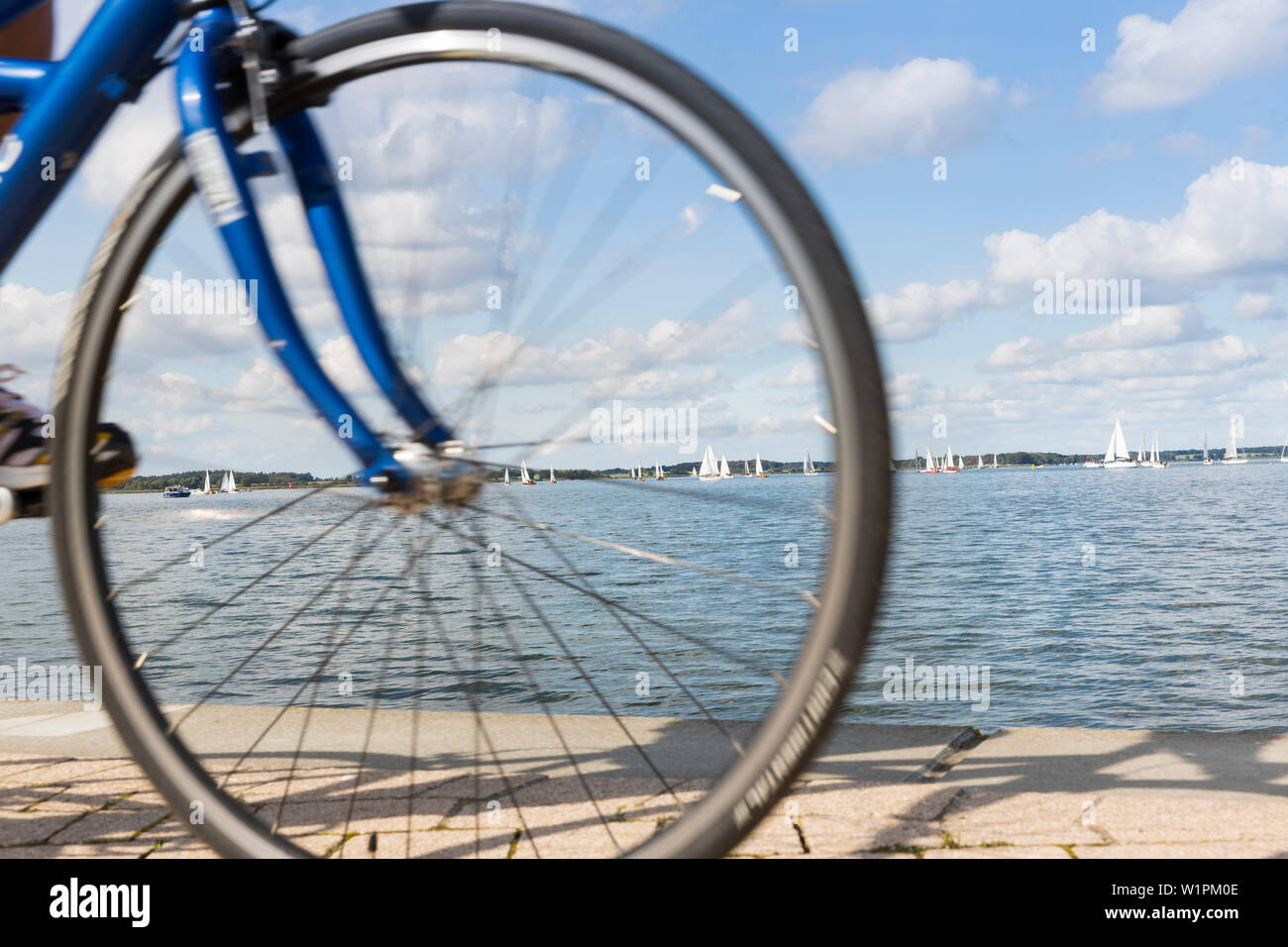 cycling at lake Müritz, the largest lake of Germany, Müritz National ...